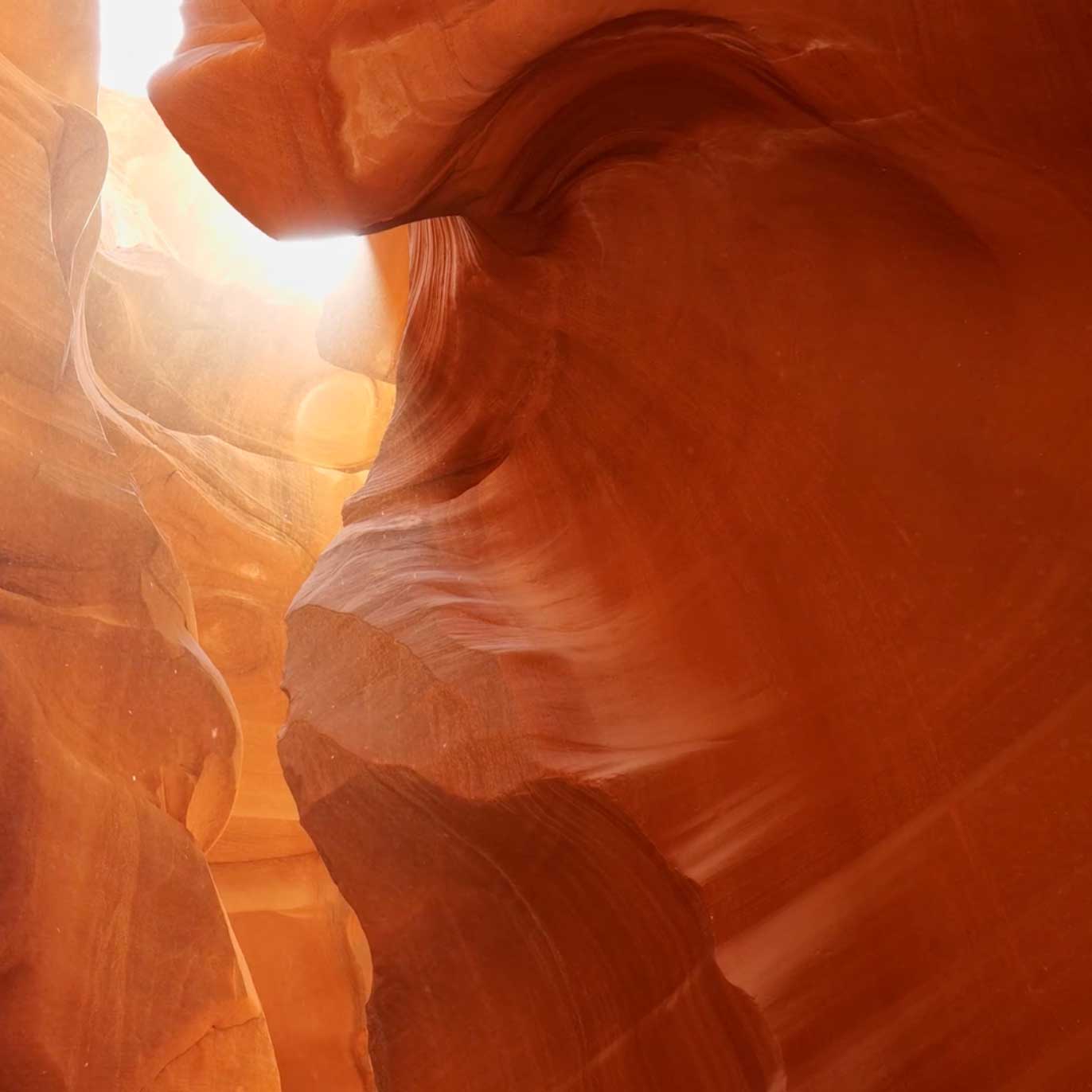 SANDSTONE Fragrance Oil - Stock Fragrance - STOCK FRAGRANCE